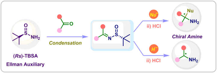 Sadphos背后的力量：叔丁基亚磺酰胺（TBSA）的逆袭之旅 - 知乎
