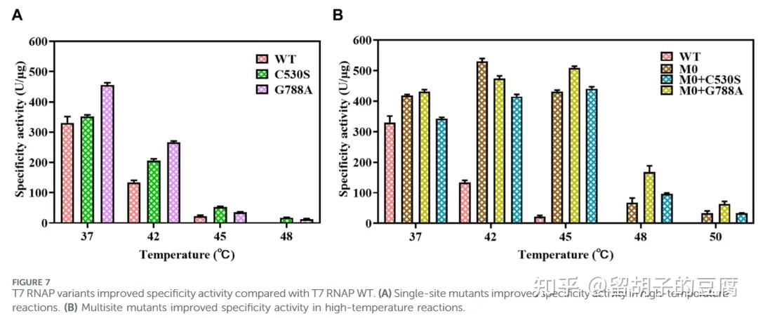 耐高温T7 RNA 聚合酶仅凭一步IVT反应高效合成circRNA - 知乎