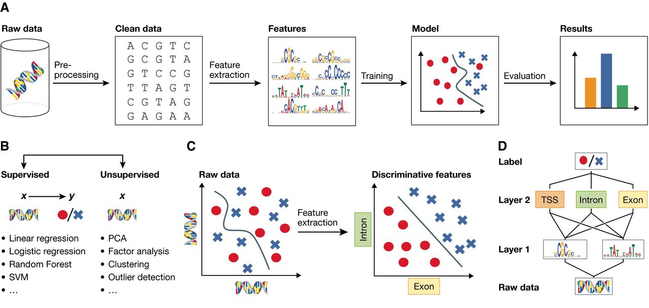 阅读笔记0002:deep Learning For Computational Biology 知乎