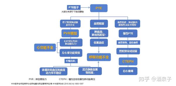 VTE、DVT与PE的关系 - 知乎