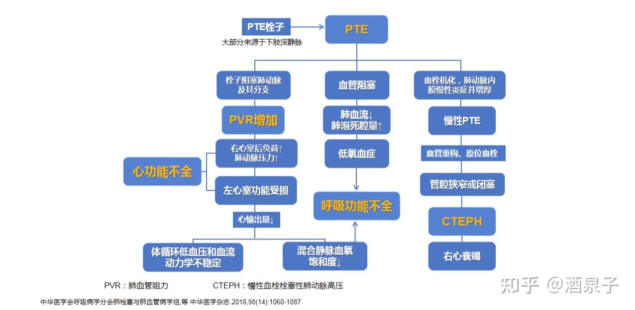 VTE、DVT与PE的关系 - 知乎