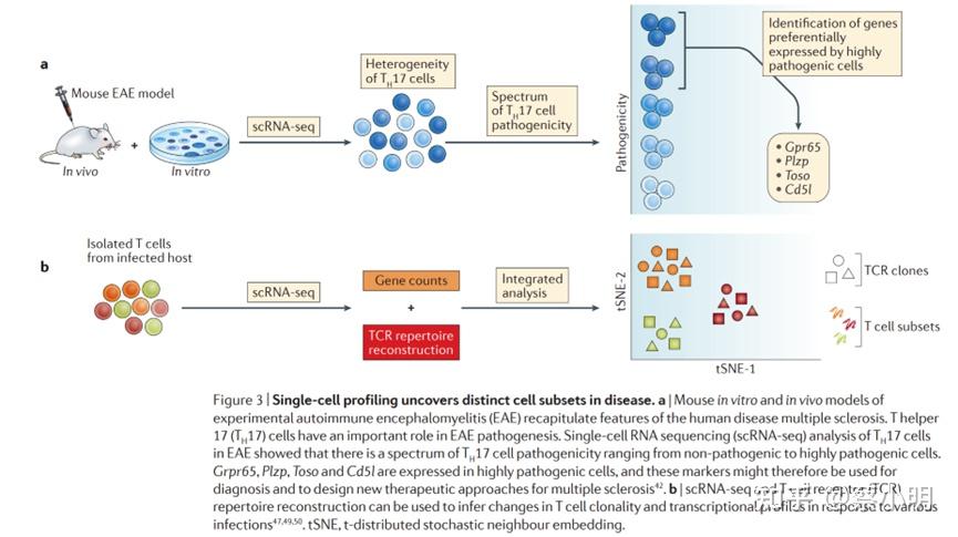 NID209_Single-cell RNA sequencing to explore immune cell heterogeneity - 知乎