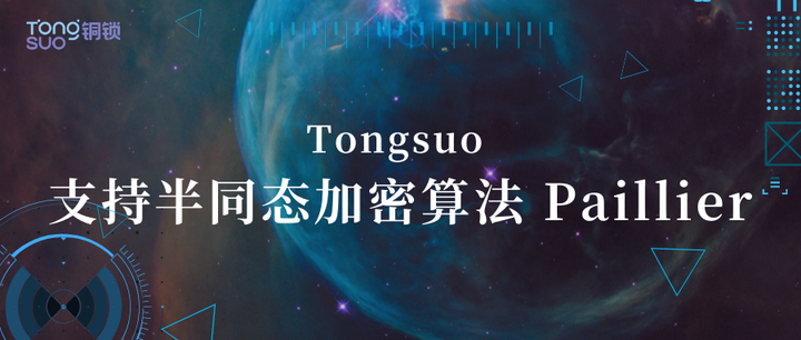 Tongsuo 支持半同态加密算法 Paillier - 知乎