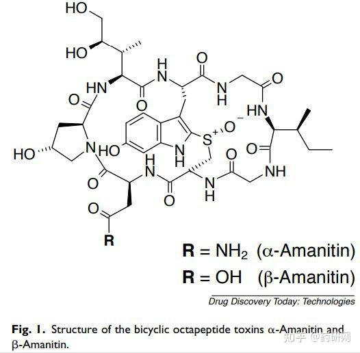 Heidelberg第三代ADC技术，采用鹅膏蕈碱 - 知乎