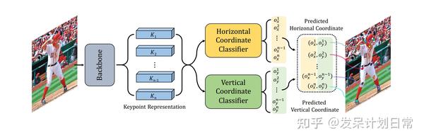 [SimCC] a Simple Coordinate Classification Perspective for Human Pose ...