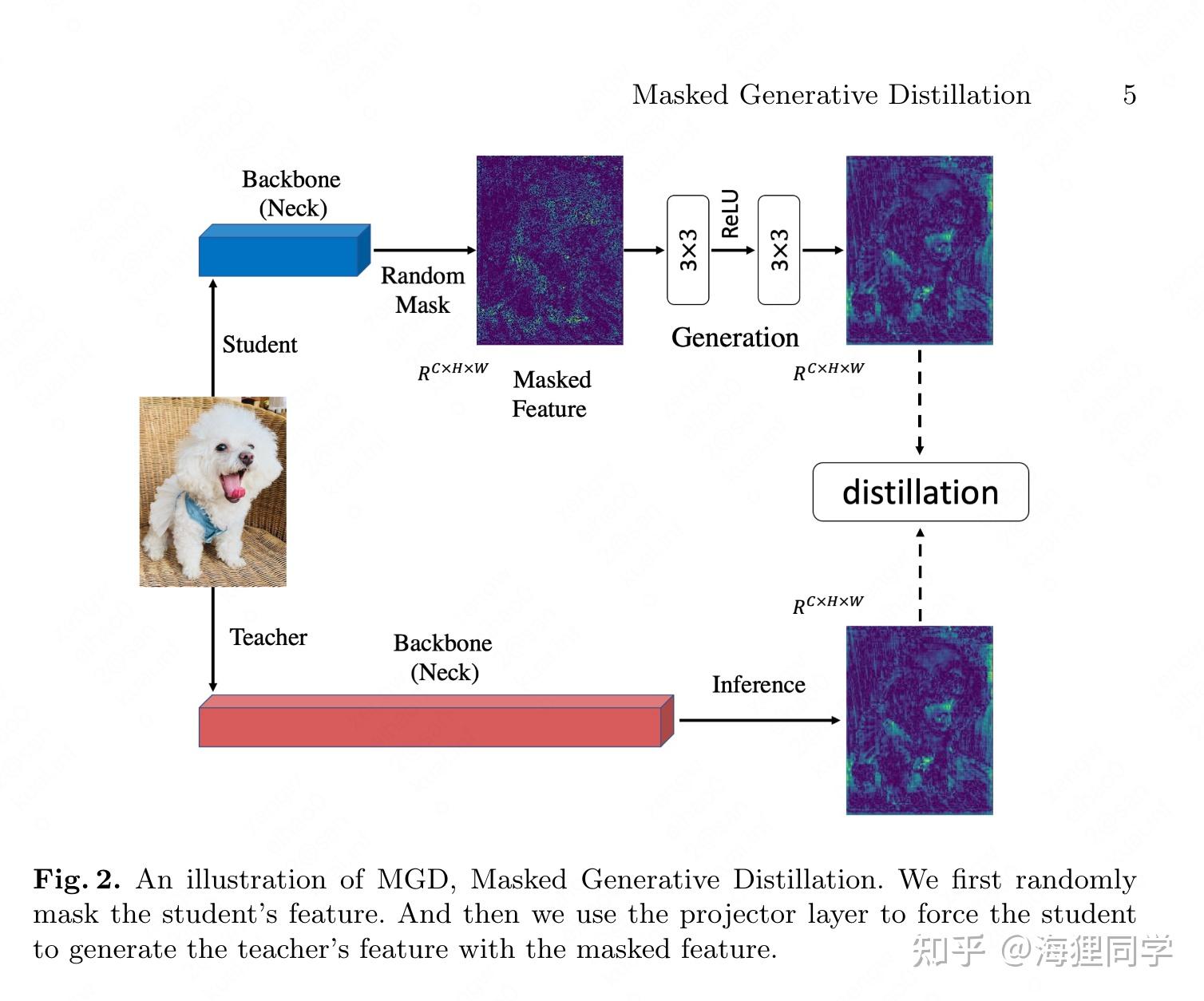 Masked Generative Distillation - 知乎