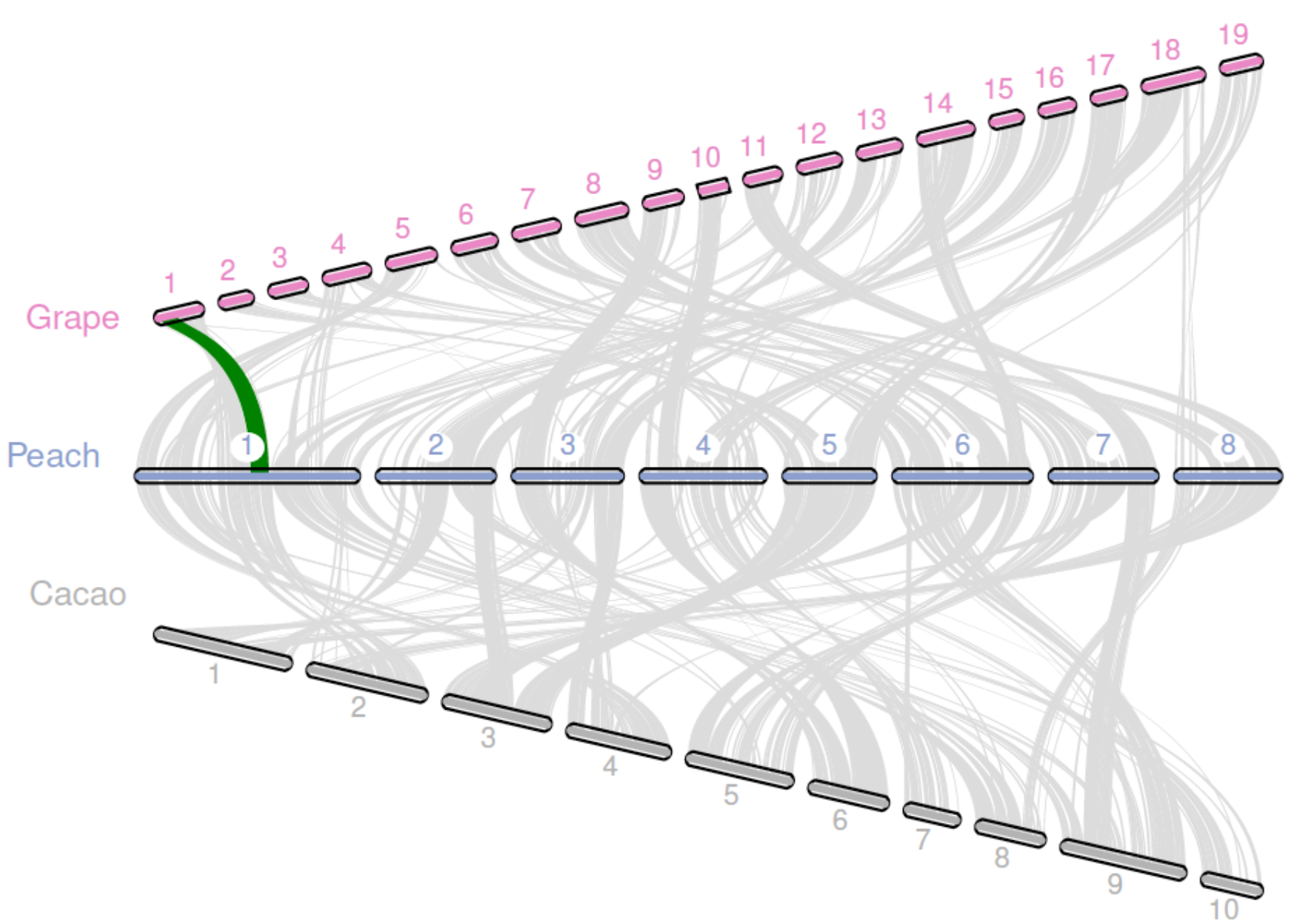 如何用MCScan(Python version).jcvi做出精美的基因组共线性图 - 知乎