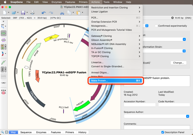 SnapGene操作指南 | 如何从DNA序列得到蛋白质序列 - 知乎