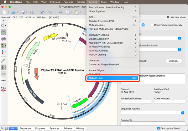 SnapGene操作指南 | 如何从DNA序列得到蛋白质序列 - 知乎