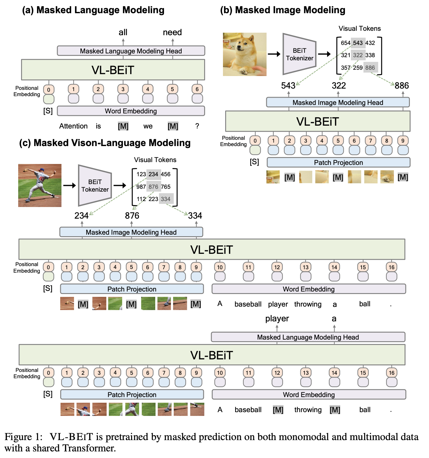 一文看遍多模态领域2020年以来的论文 - 知乎