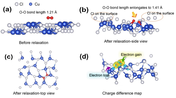 胡卓锋团队ACB: CuCl-HTCC活化分子氧产生活性氯物质用于高级氧化 - 知乎