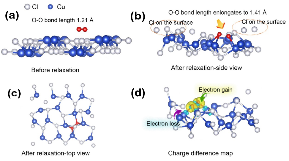 胡卓锋团队ACB: CuCl-HTCC活化分子氧产生活性氯物质用于高级氧化 - 知乎