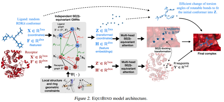 【论文阅读】EQUIBIND: Geometric Deep Learning for Drug Binding Structure ...