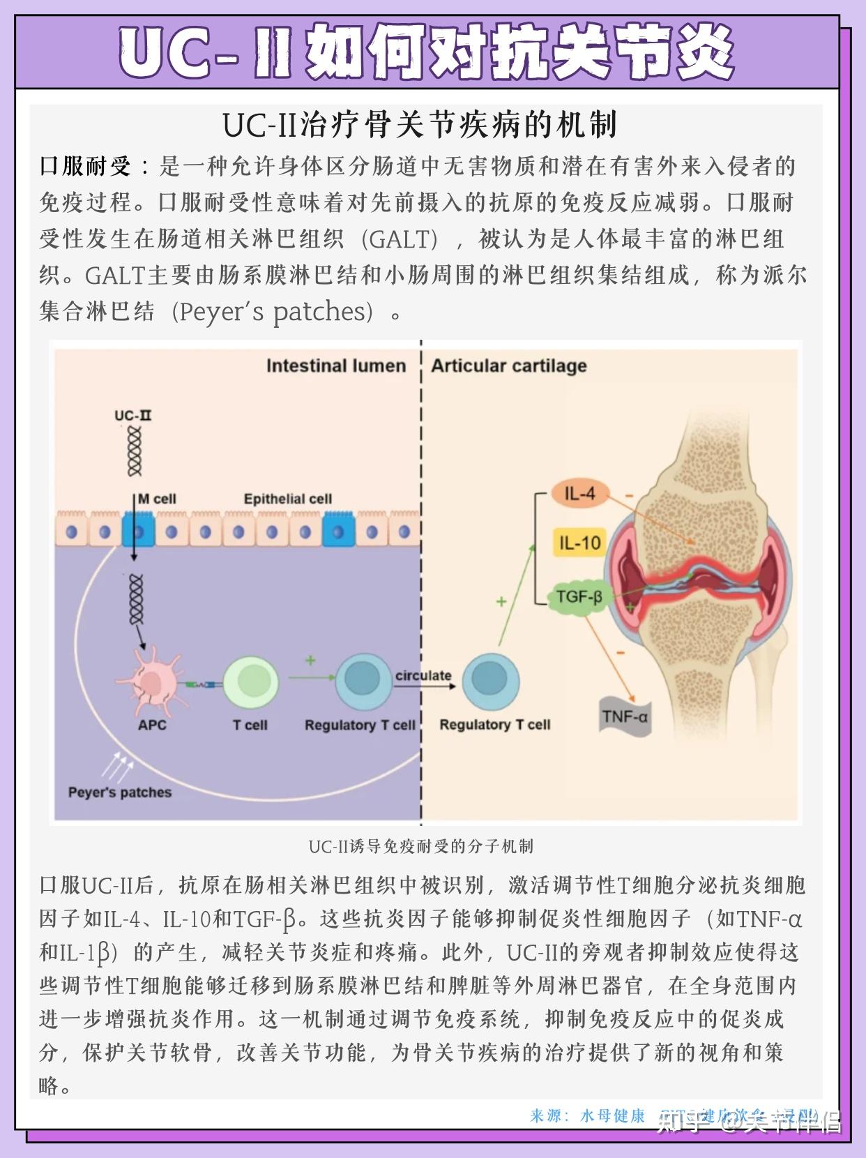 UC-Ⅱ 如何对抗关节炎 - 知乎