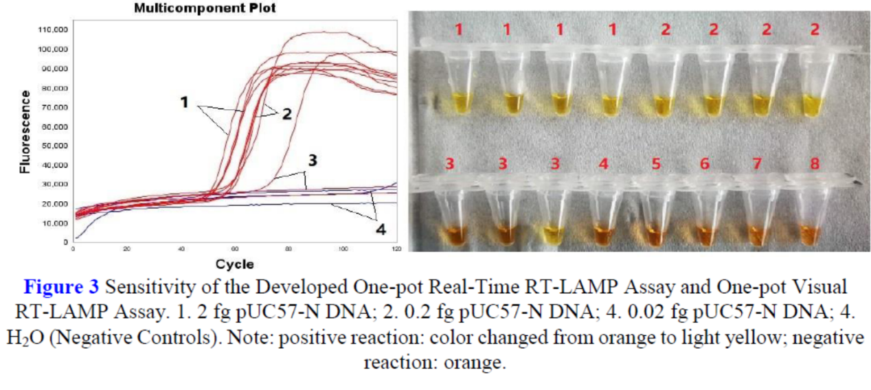 等温扩增专题（下）：技术应用大盘点 - 知乎