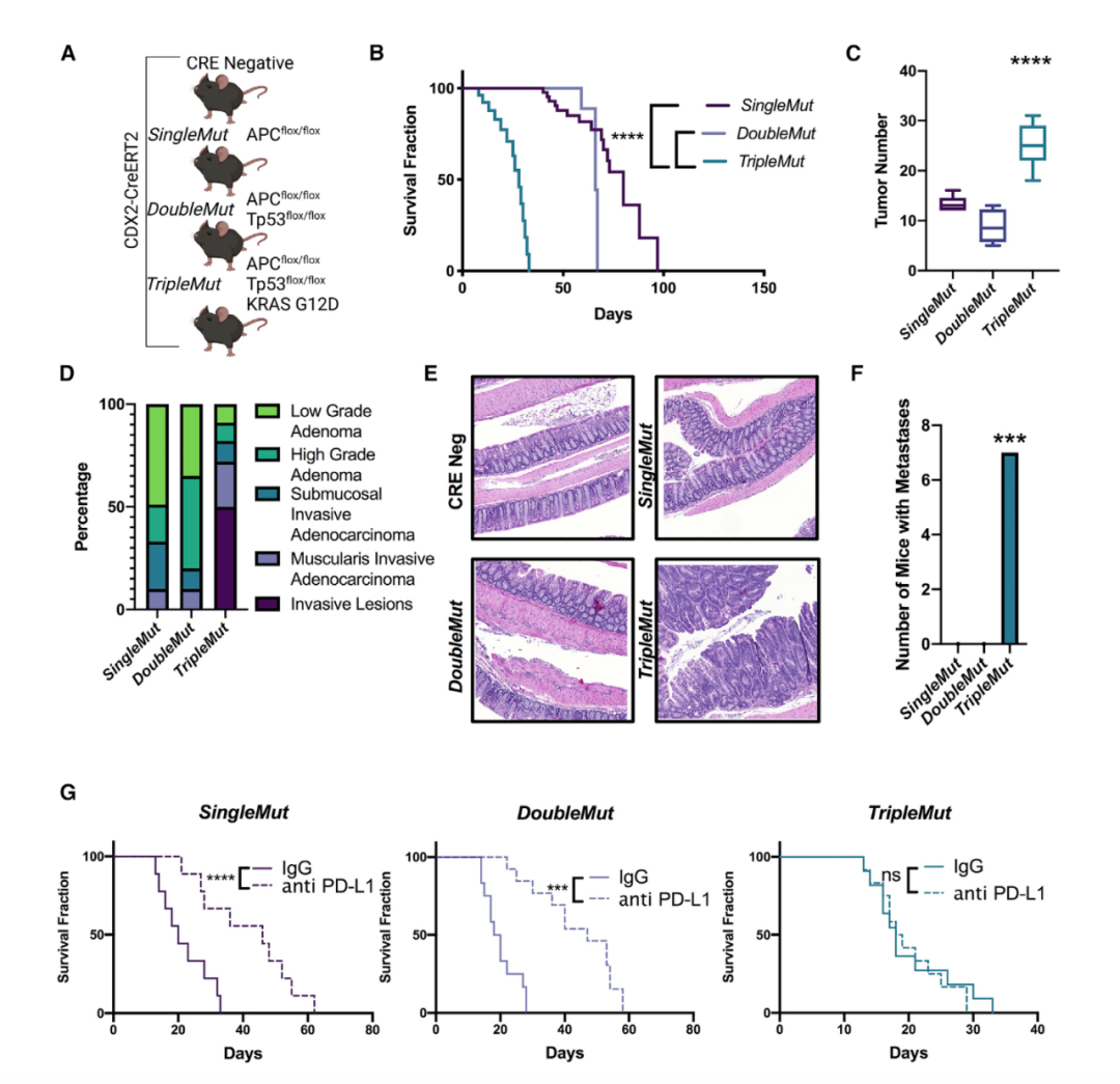 Cell Met | 微环境的氨可诱导结直肠癌的T细胞衰竭 - 知乎