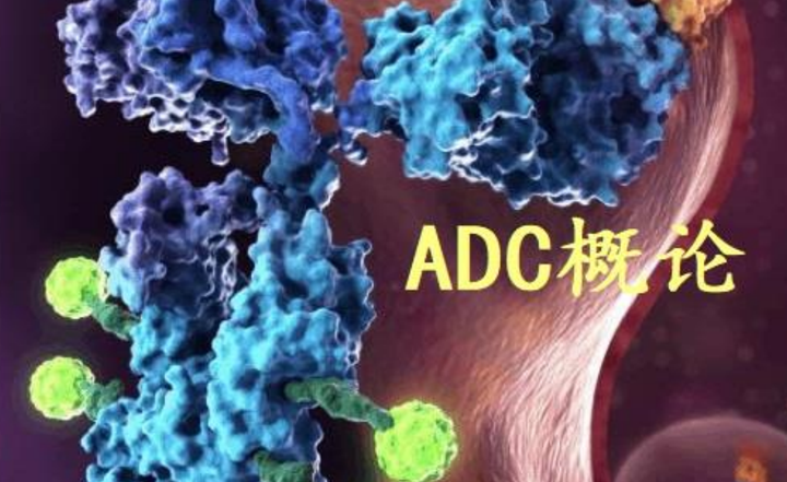 TROP-2 ADC药物临床实验总览 - 知乎