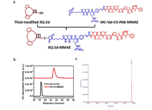 Biotin-PEG2-C4-alkyne M-PEG1-NHS ester protac技术蛋白降解靶向联合体 - 知乎