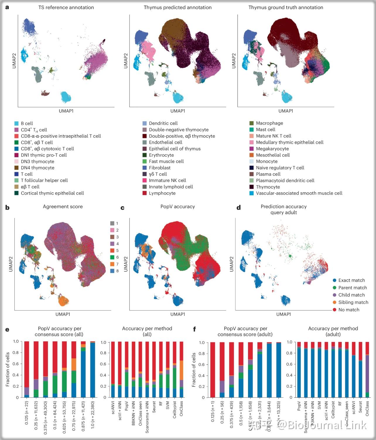 生信程序 | NatGenet | 使用 popV 在单细胞数据中进行细胞类型标签的共识预测 - 知乎