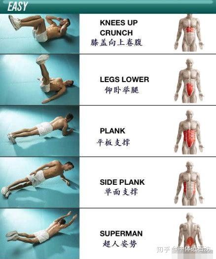 正常人练出腹肌需要多长时间 知乎