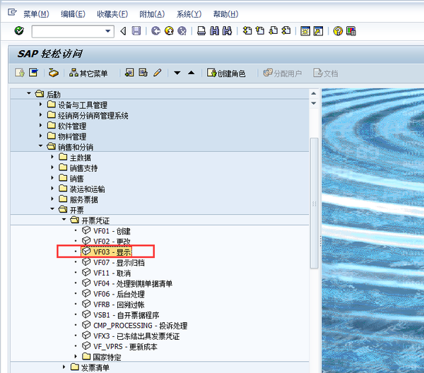 SAP中 显示销售发票 VF03 - 知乎