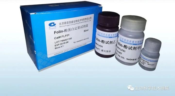 Folin—酚试剂测蛋白含量实验操作方法 - 知乎