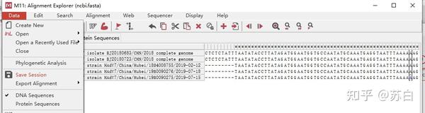 MEGA：安装与序列比对Align - 知乎