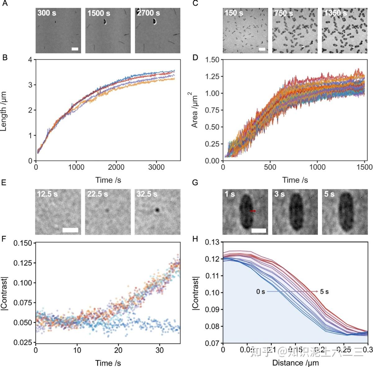 材料研究遇难题？iSCAT显微镜来助力！能精准监测自组装！ - 知乎