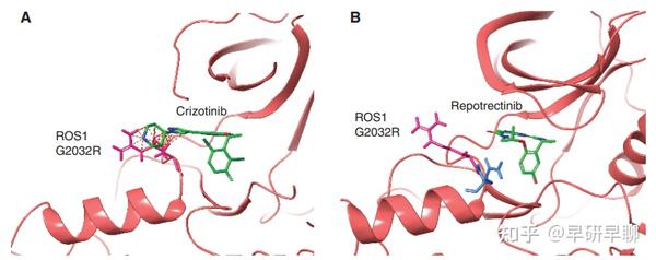 从靶向药“新贵”瑞普替尼（Repotrectinib）看小分子大环化 - 知乎