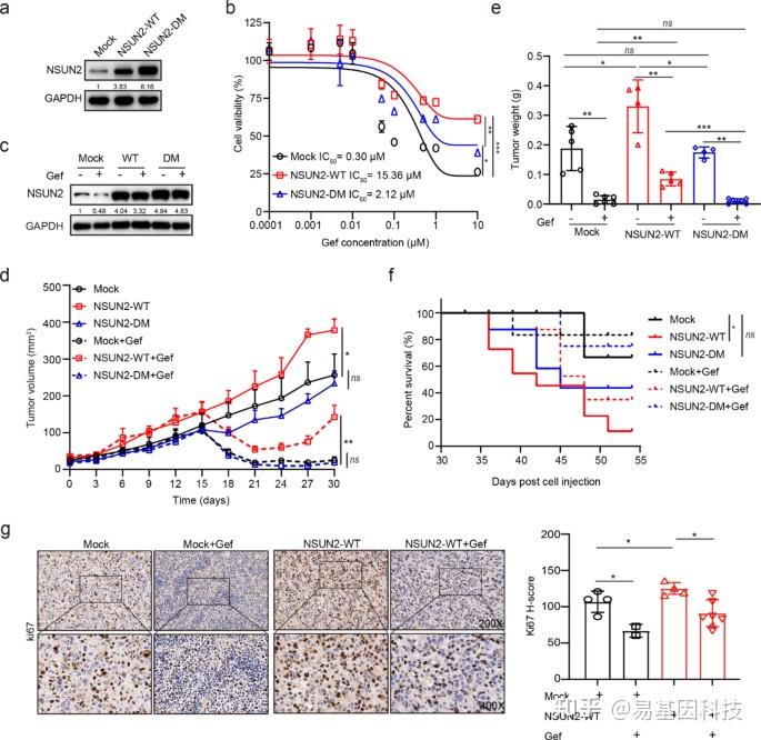 易基因：m5C高甲基化介导EGFR突变的非小细胞肺癌耐药潜在机理｜国人佳作 - 知乎