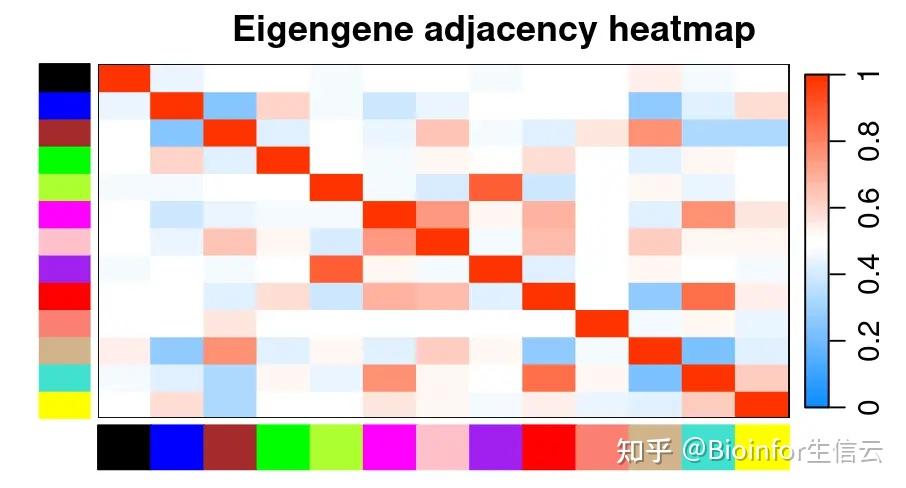 WGCNA分析（五）网络可视化 - 知乎
