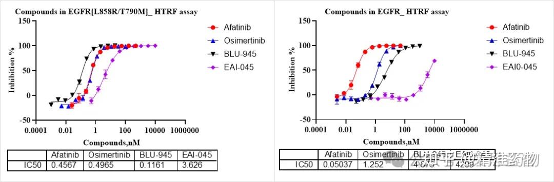 一文看懂7种激酶抑制剂类型及筛选策略 - 知乎