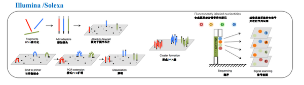 IVD市场分析丨基因测序（NGS）篇 - 知乎