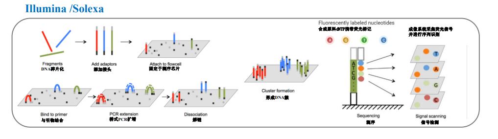 IVD市场分析丨基因测序（NGS）篇 - 知乎
