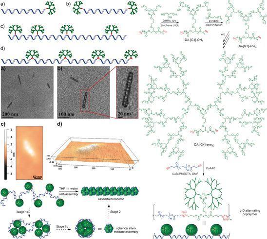 精选JACS/Angew 12篇：树枝状大分子的最新成果大盘点 - 知乎
