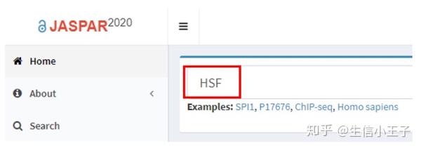 motifStack | 绘制motif序列结构图 - 知乎