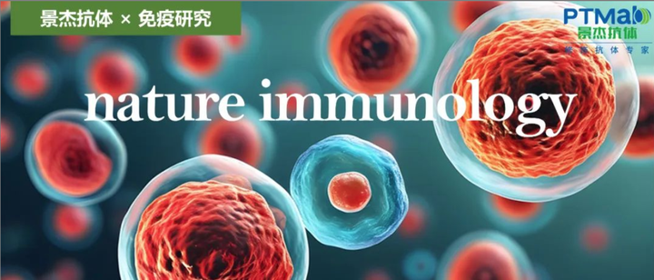 Nat Immunol | 增强T细胞战斗力，秘诀在组蛋白乳酸化修饰里！ - 知乎