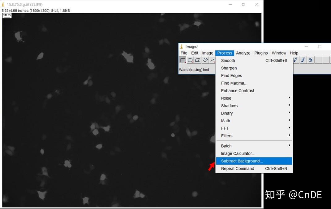 【ImageJ】荧光细胞计数方法 - 知乎