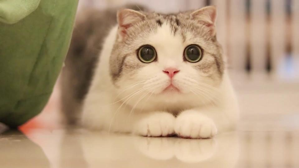 投诉电话+服务电话合集 - 知乎