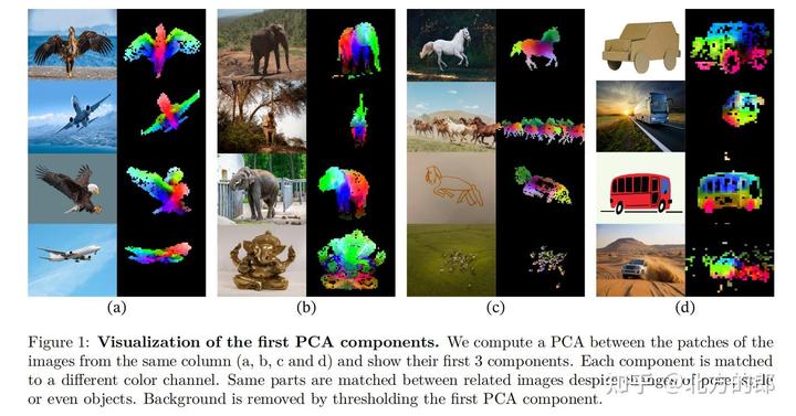 DINOv2: A Self-supervised Vision Transformer Model - 知乎