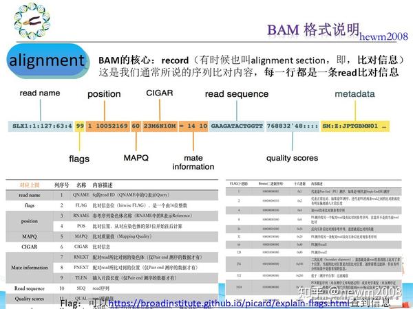 BamDeal 一个用于 bam 操作的综合工具包 - 知乎