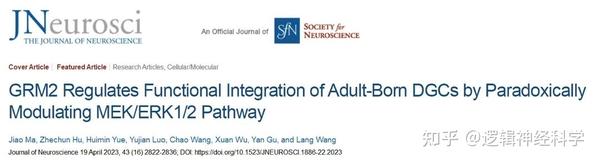 J Neurosci︱浙江大学王朗课题组揭示成体海马新生神经元发育及功能整合的新机制 - 知乎