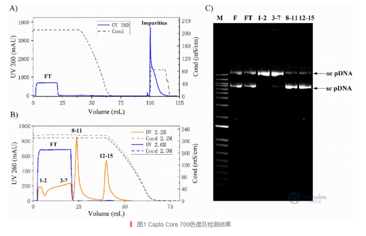 纯化前沿 | 复旦大学—新型两步层析工艺纯化质粒DNA - 知乎