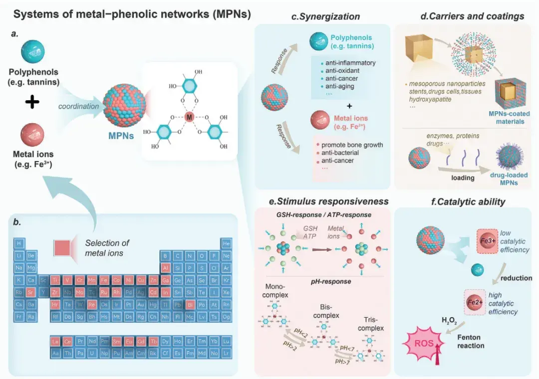 Adv Sci(IF=14.3) | 中药物质基础重磅综述！中药中自组装的天然生物活性物质综述 - 知乎