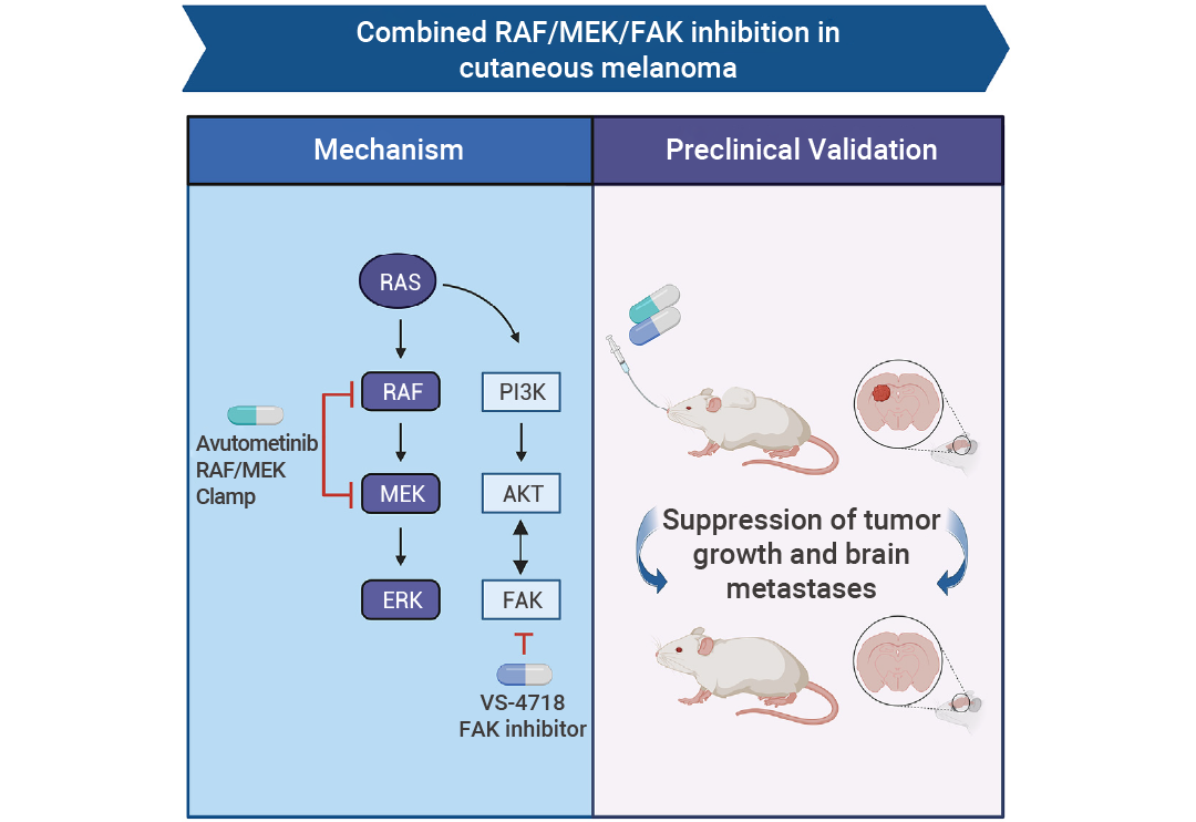 2025 年 FDA 获批药物有哪些 (上)_MedChemExpress(MCE中国) - 知乎