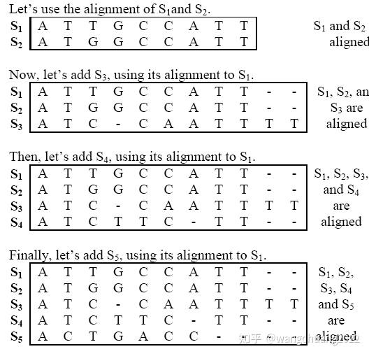 Multiple sequence alignment（MSA，多序列比对） - 知乎