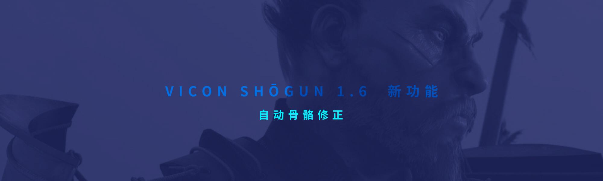【Vicon教程】Shogun 1.6 新功能，自动骨骼修正优化工作流程 - 知乎
