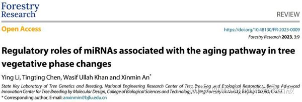 北林安新民综述与年龄途径相关miRNA参与树木营养相变研究 - 知乎