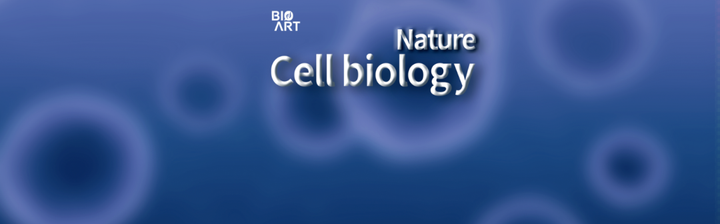 Nat Cell Biol | 刁亚锐/孙同玉团队揭示转座元件是机械力响应增强子元件，并发现调控人胚胎干细胞命运的新机制 - 知乎
