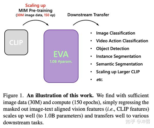 一篇文章搞懂EVA - 知乎
